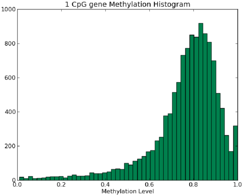 Genome-Wide DNA Methylation Analysis