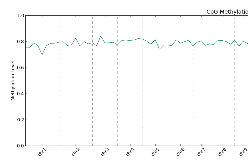 Genome-Wide DNA Methylation Analysis